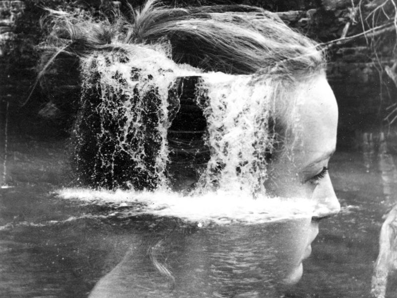 Head Rush | Smithsonian Photo Contest | Smithsonian Magazine