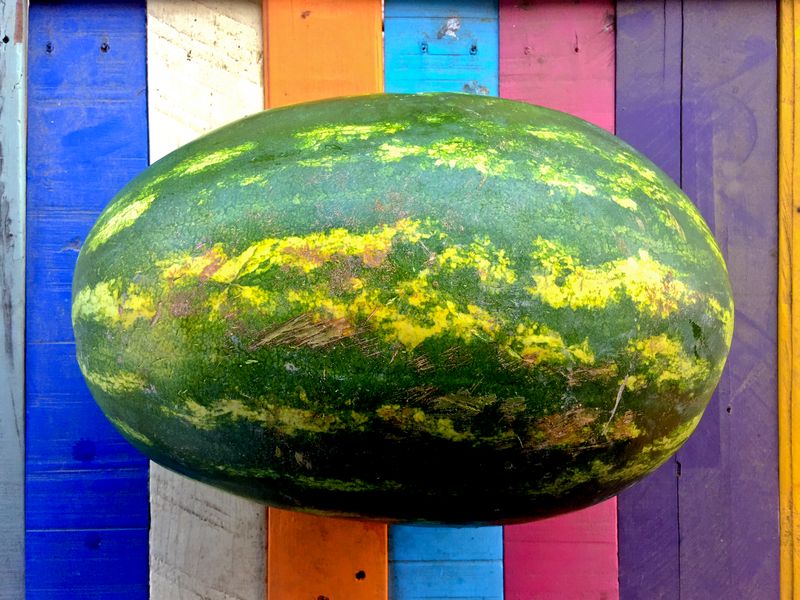 Watermelon colors | Smithsonian Photo Contest | Smithsonian Magazine
