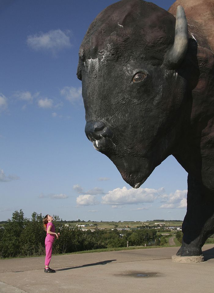 getting to know the buffalo | Smithsonian Photo Contest | Smithsonian ...