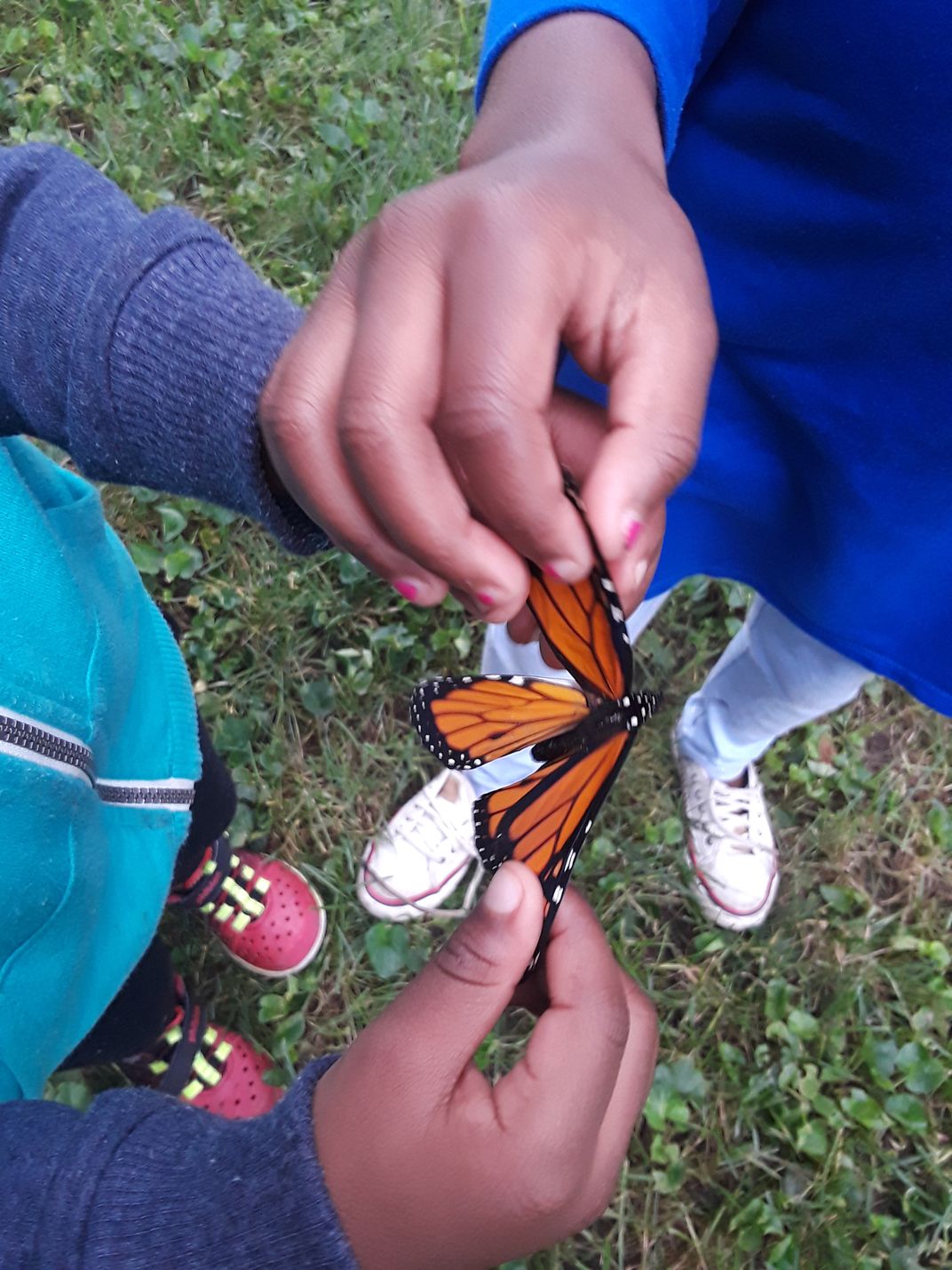 Sister and brother holding a butterfly together | Smithsonian Photo ...