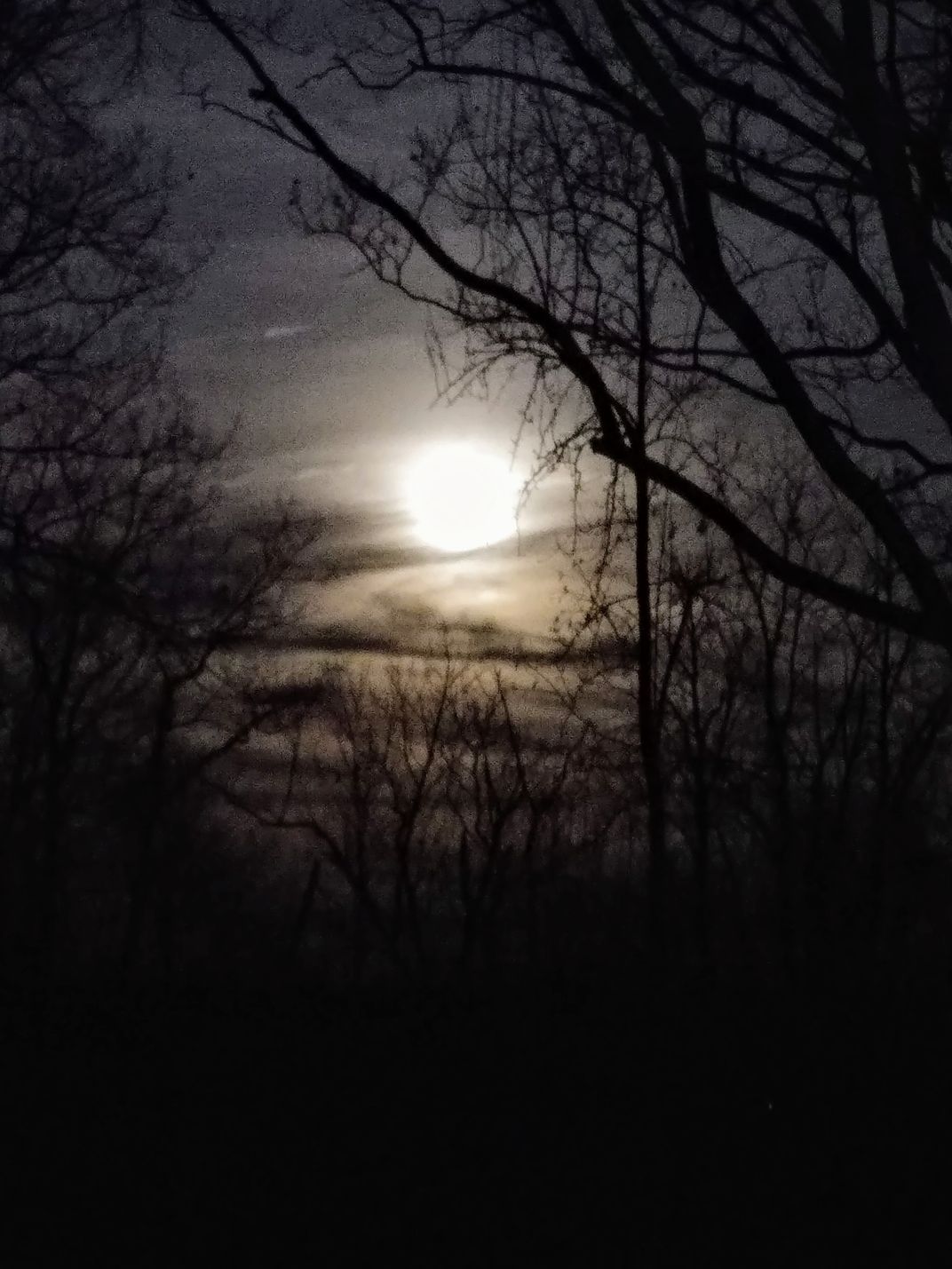 Moon rise | Smithsonian Photo Contest | Smithsonian Magazine