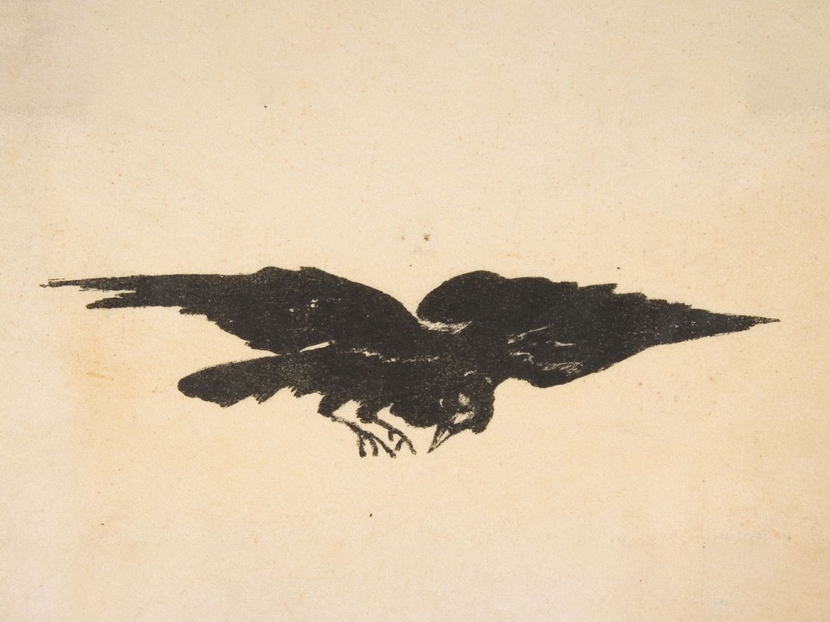 Sleachta Edgar Allan Poe The Raven Poe's "The Raven" With Explanations
