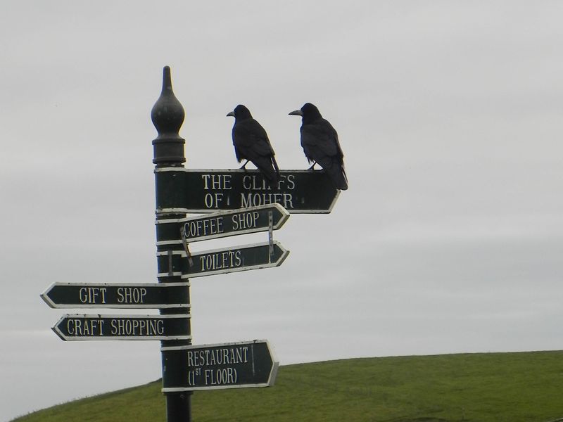 Ominous omen | Smithsonian Photo Contest | Smithsonian Magazine