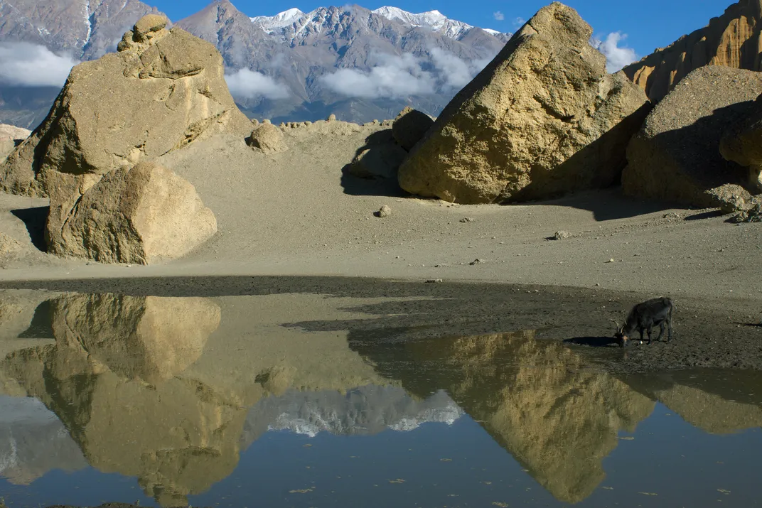 Reflection and a goat | Smithsonian Photo Contest | Smithsonian Magazine