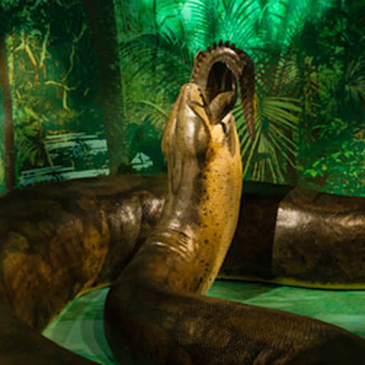 Titanoboa Skeleton Smithsonian