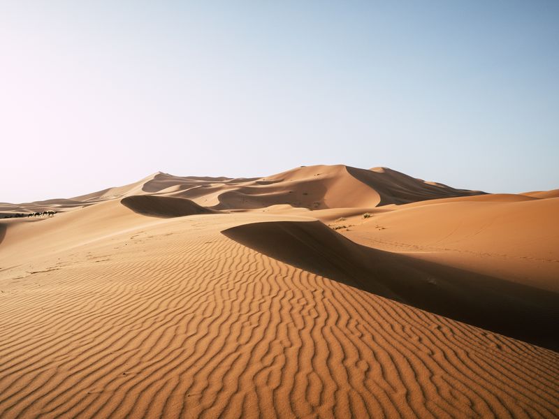 Sands of Sahara | Smithsonian Photo Contest | Smithsonian Magazine