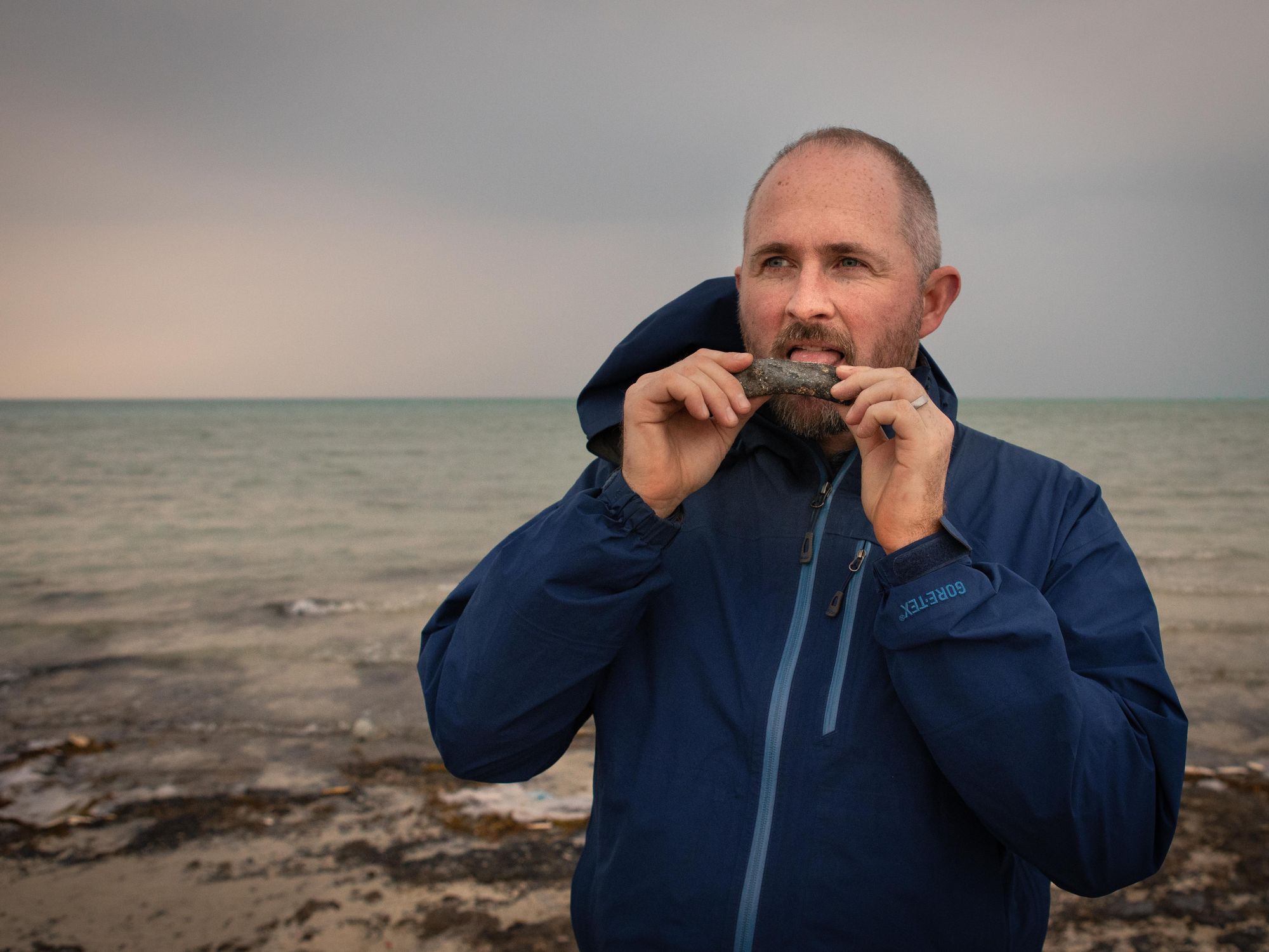 How Long Have Sea Cows Thrived in the Arabian Gulf? We Literally ...