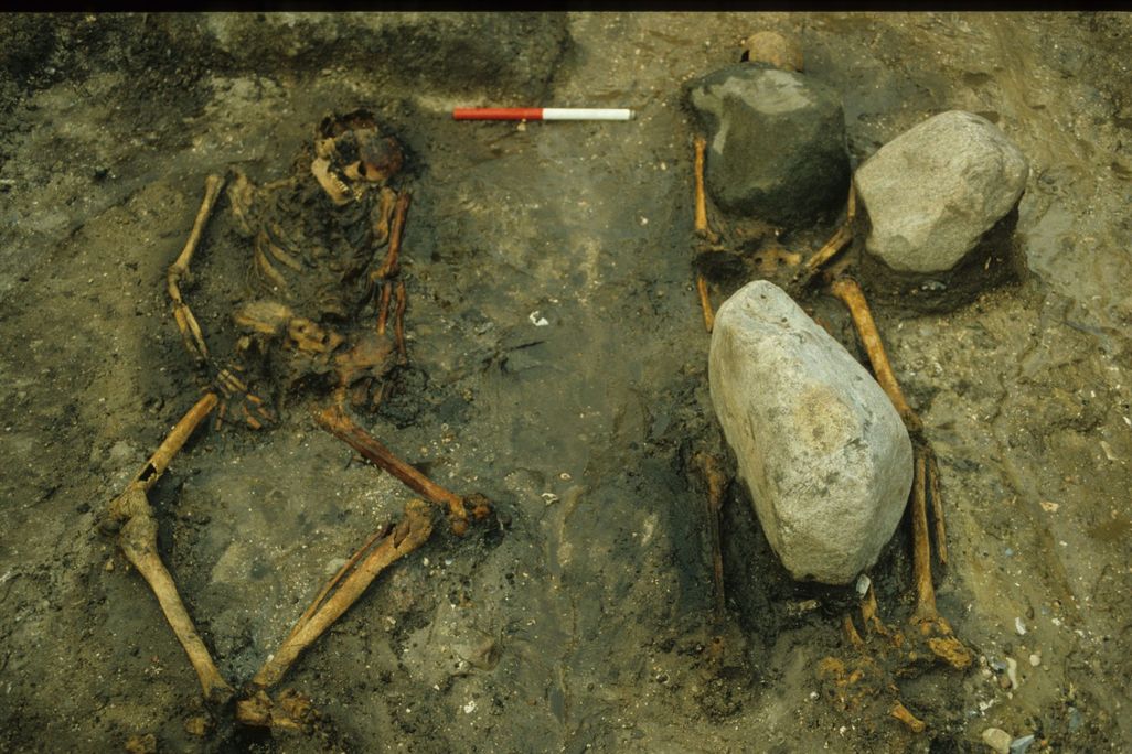 viking bones found