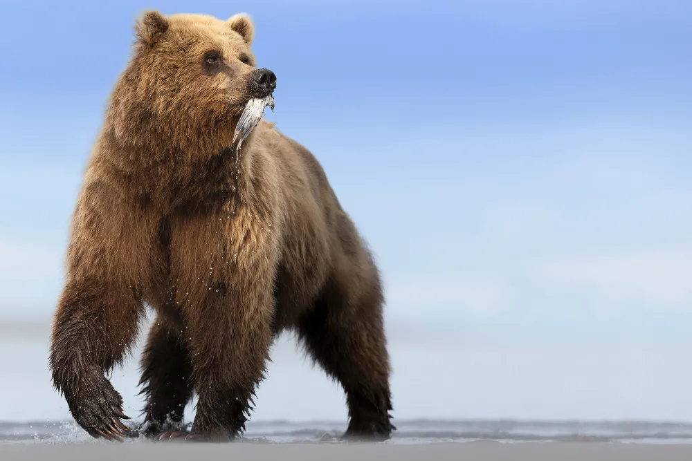 Smithsonian Magazine Daily Newsletter