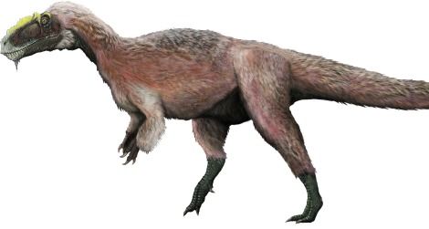 Who Doesn’t Love Fuzzy Dinosaurs? | Smithsonian