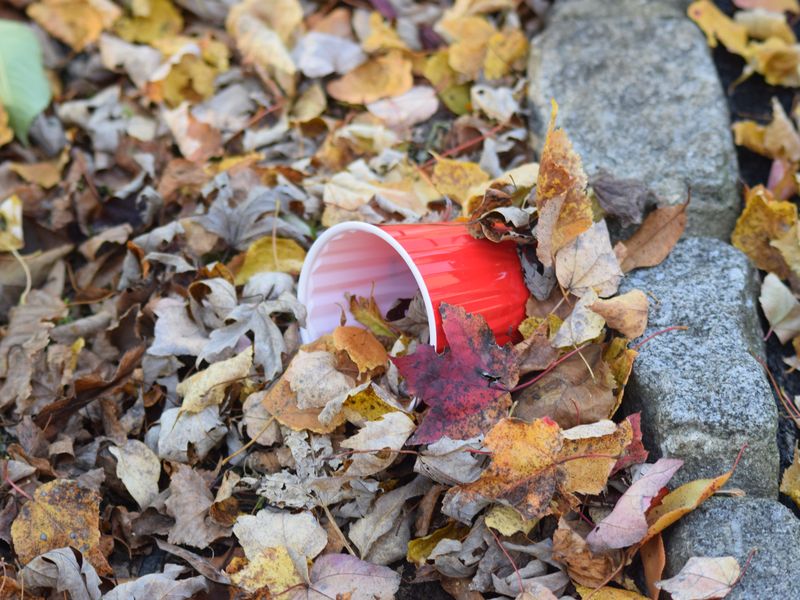 Not Nature | Smithsonian Photo Contest | Smithsonian Magazine