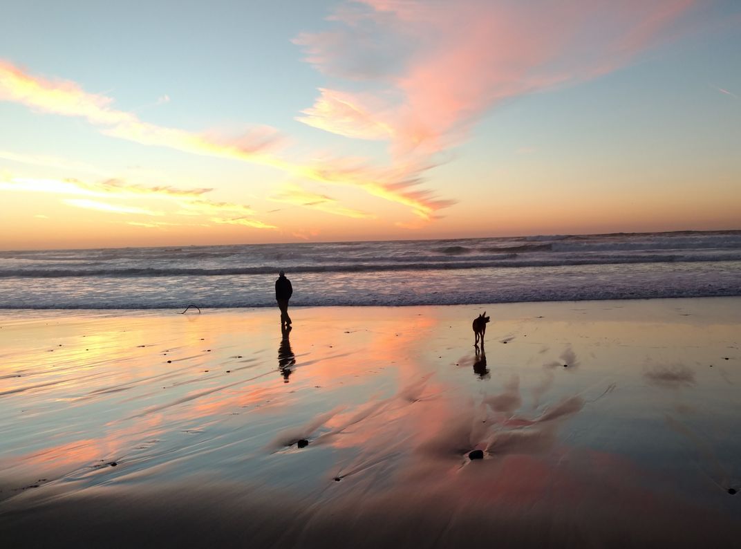 Sunset at Asilomar Beach, California | Smithsonian Photo Contest ...