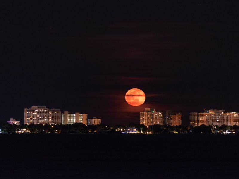 Full red moon behind Miami Beach. | Smithsonian Photo Contest ...