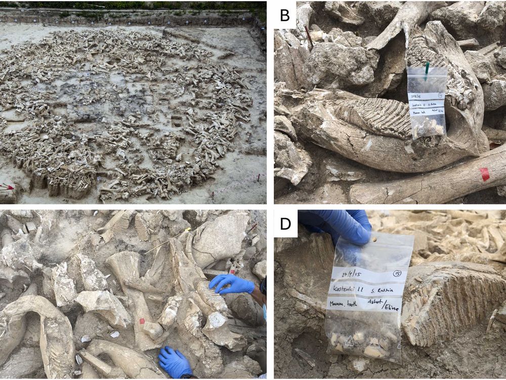 Mammoth Bones Used to Build Mysterious 25,000-Year-Old Site in Russia ...