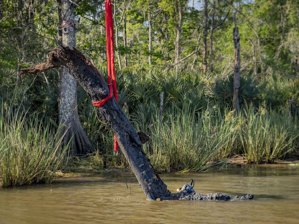 Unlocking the Secrets of the 'Clotilda,' the Last Known Slave Ship