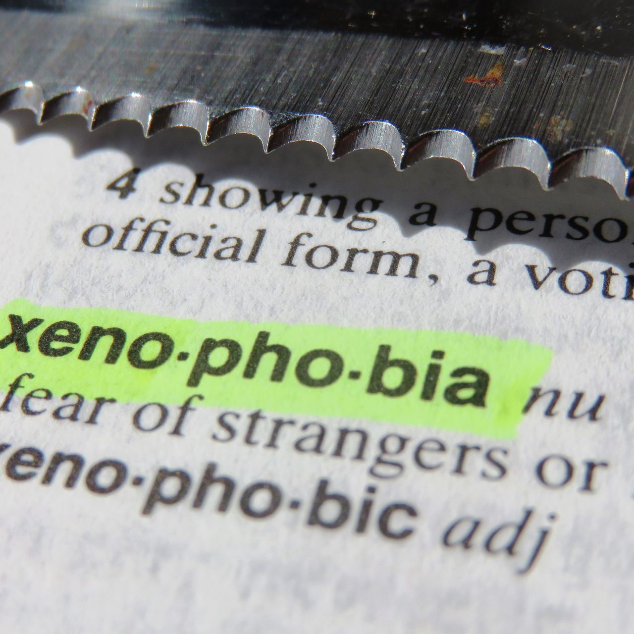 Xenophobia Is Dictionarycoms 2016 Word Of The Year What