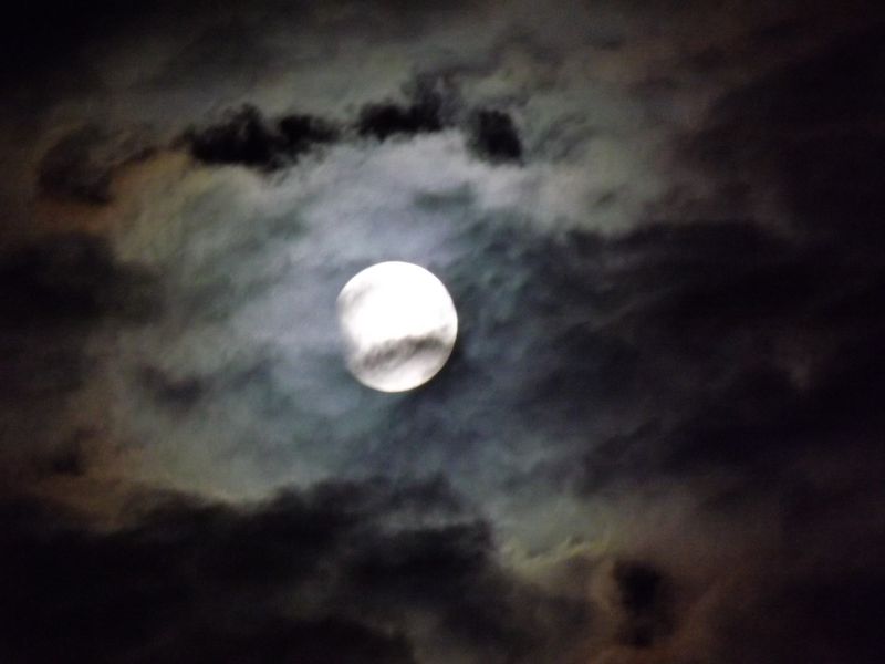 Blood Moon Rising | Smithsonian Photo Contest | Smithsonian Magazine