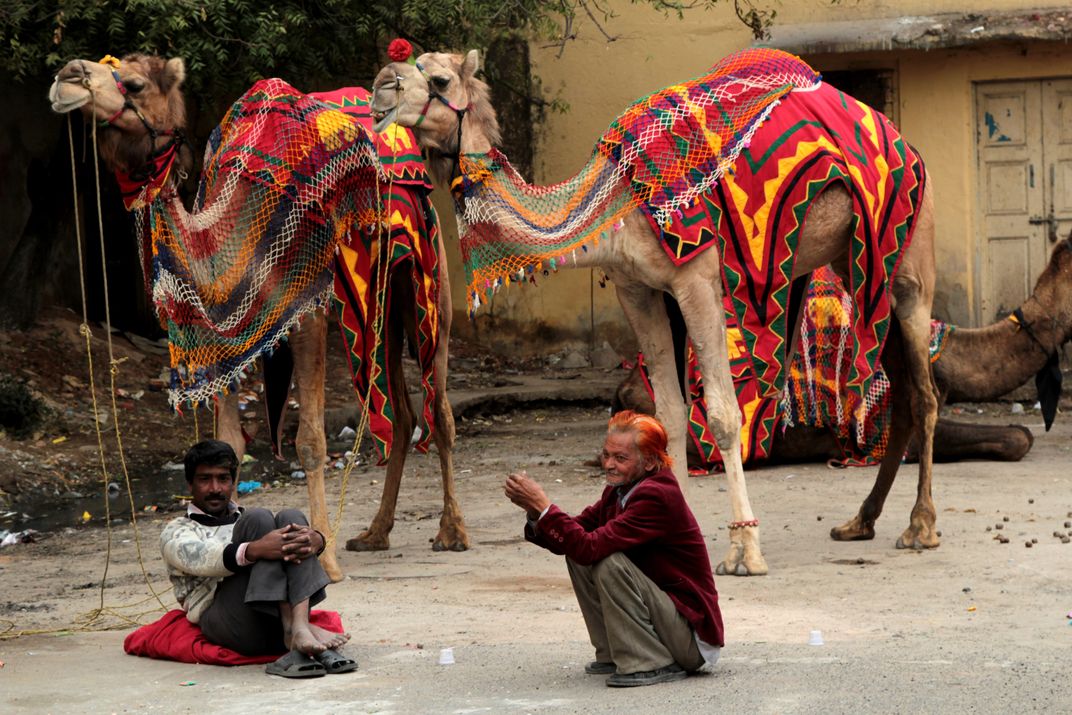 where is your destination?how can you go there?with a camel ...