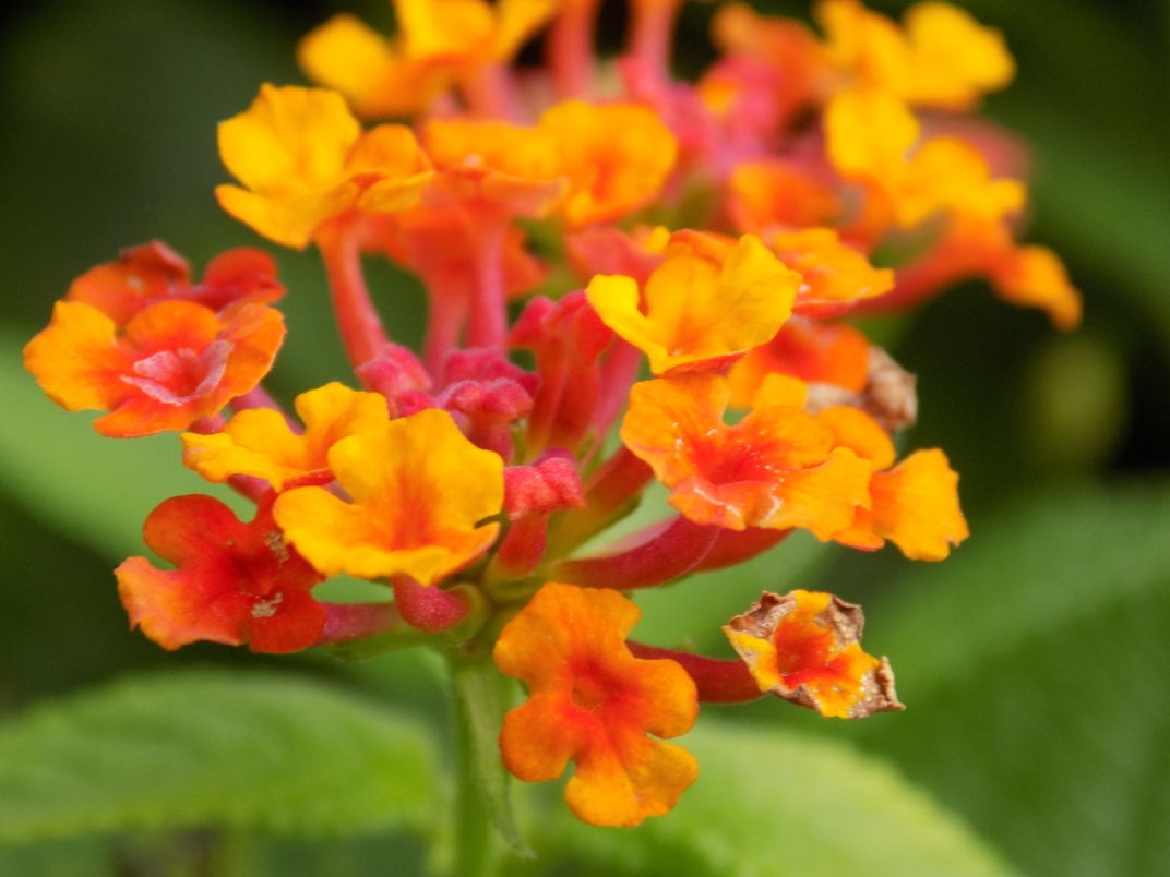 Miniscule | Smithsonian Photo Contest | Smithsonian Magazine