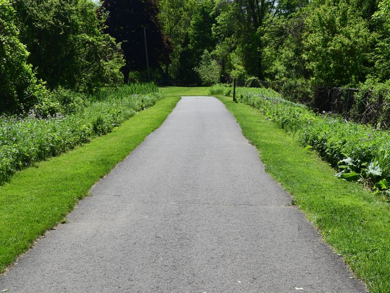 Pathway through park | Smithsonian Photo Contest | Smithsonian Magazine