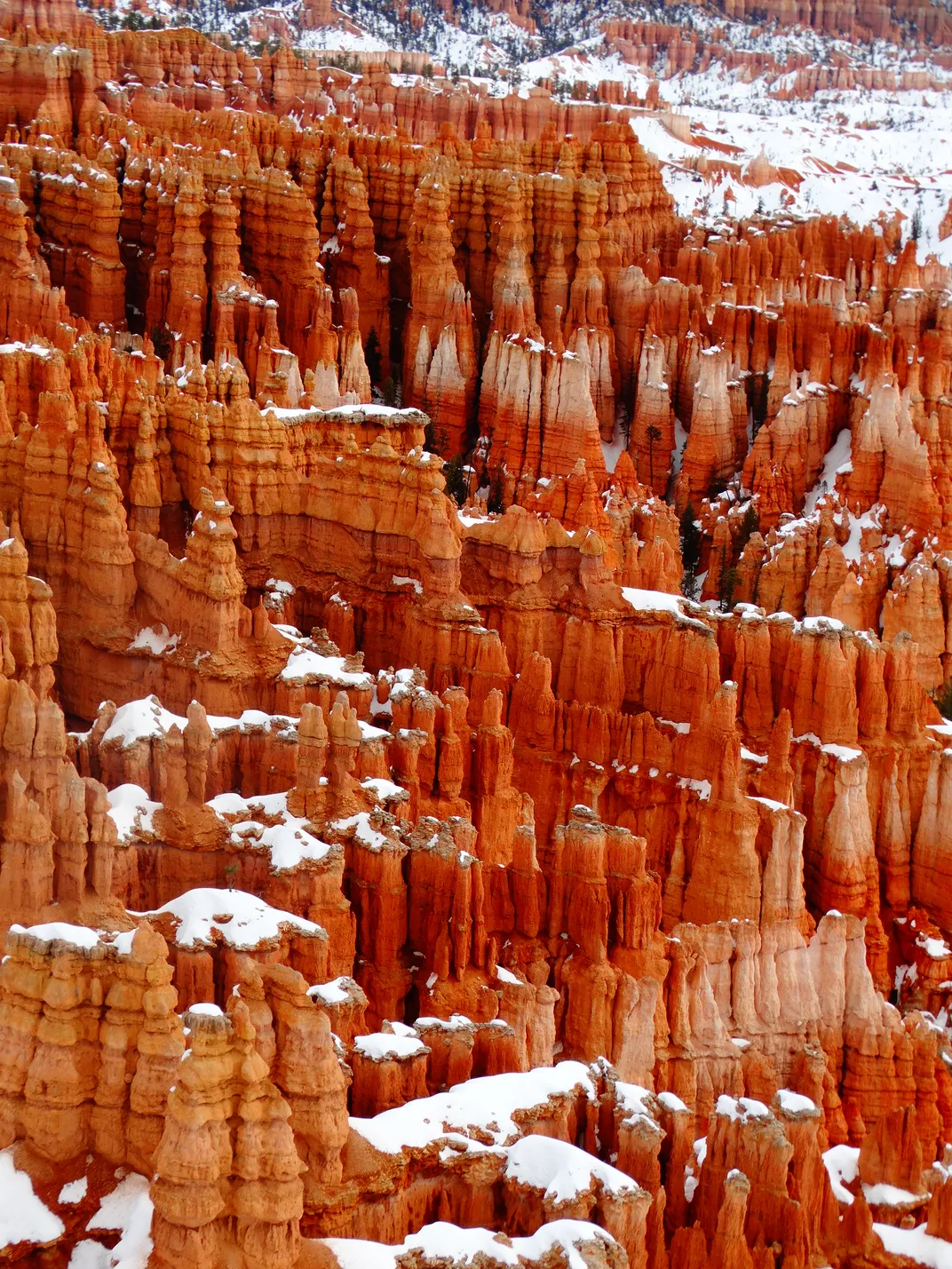 Red Snow | Smithsonian Photo Contest | Smithsonian Magazine
