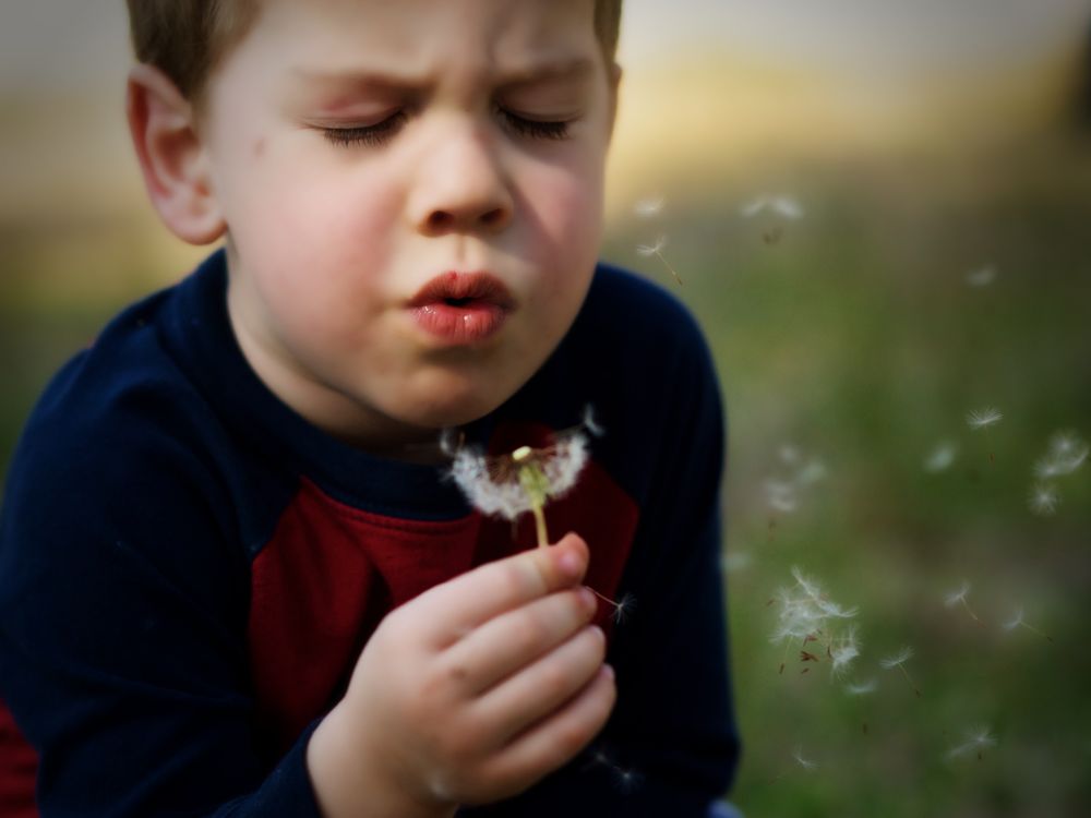 Charlie making a wish | Smithsonian Photo Contest | Smithsonian Magazine