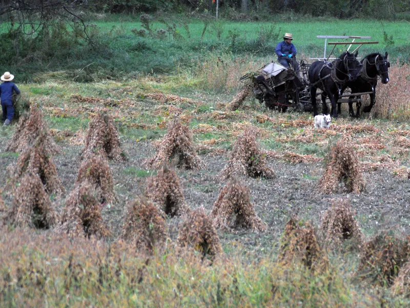 Autumn Harvest | Smithsonian Photo Contest | Smithsonian Magazine