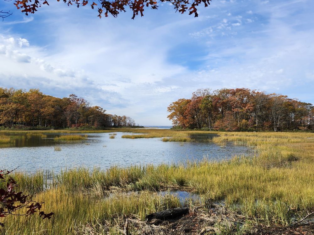 High tide in the salt marsh, and Fly Island. Caumsett State Park ...