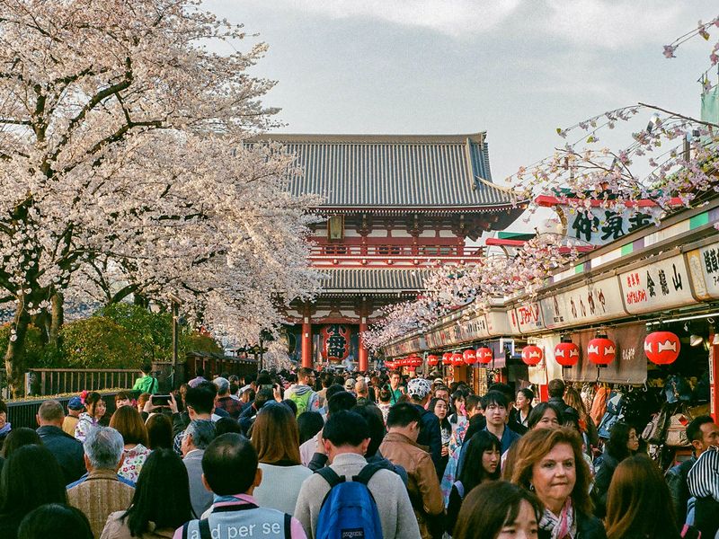 Spring in Tokyo | Smithsonian Photo Contest | Smithsonian Magazine