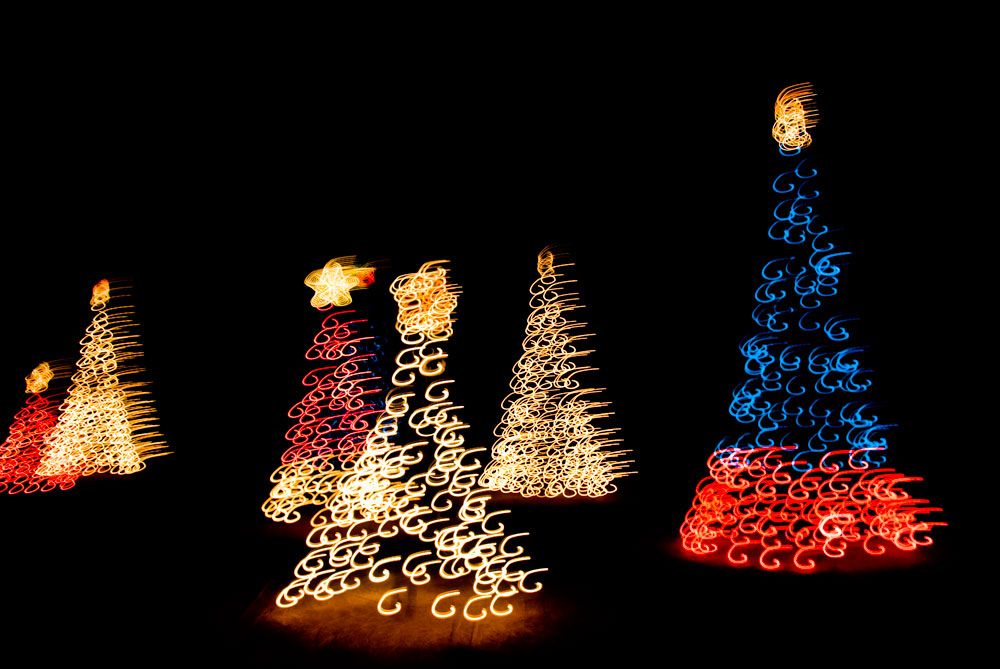 Christmas Trees | Smithsonian Photo Contest | Smithsonian Magazine