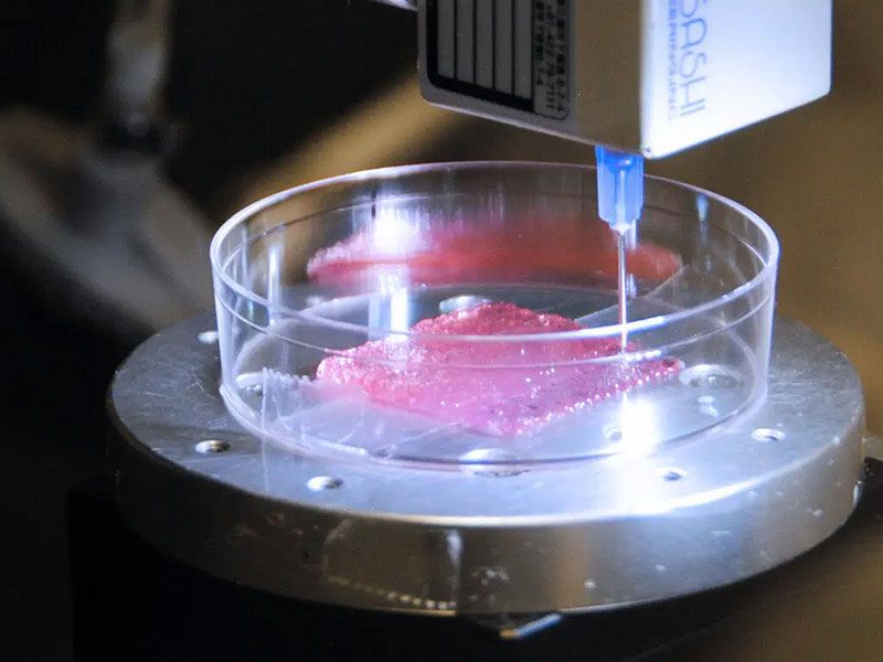 Can Printed 'Skin' Heal Burns and Prevent Scars?