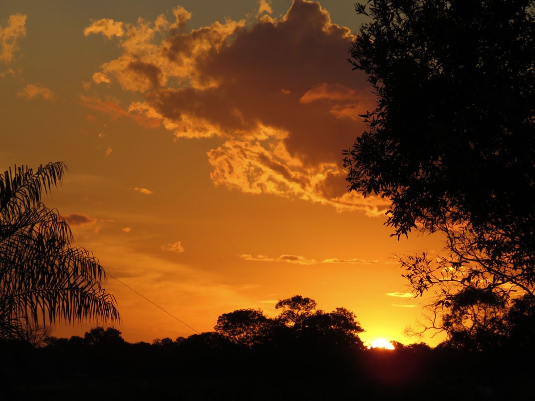 A wonderful sunset | Smithsonian Photo Contest | Smithsonian Magazine