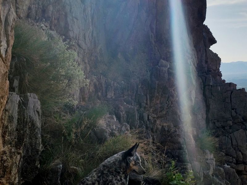 Sunfall | Smithsonian Photo Contest | Smithsonian Magazine