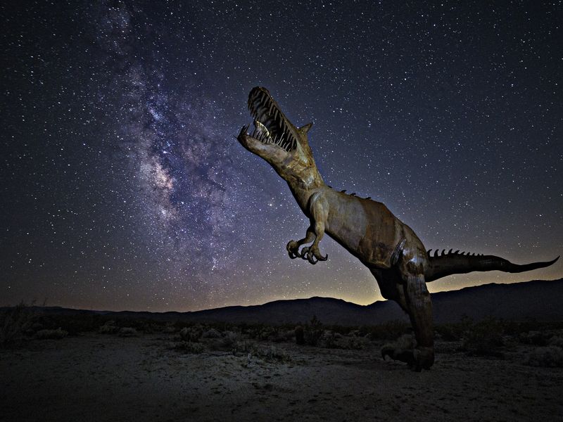 Roaring Dino | Smithsonian Photo Contest | Smithsonian Magazine