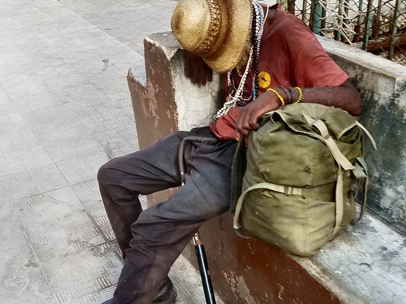 Cuban native on a Saturday afternoon | Smithsonian Photo Contest ...