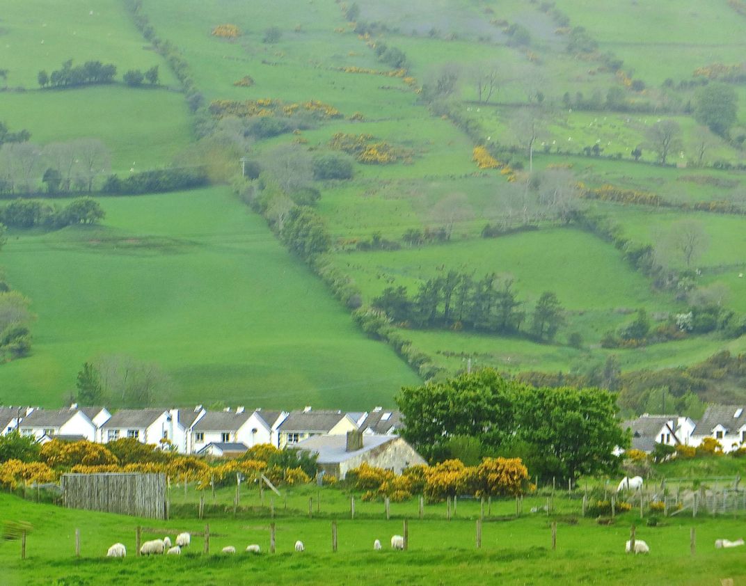 Irish Countryside | Smithsonian Photo Contest | Smithsonian Magazine