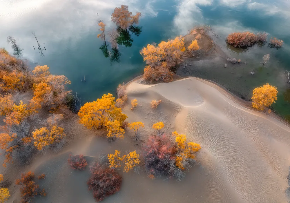 Smithsonian Magazine Daily Newsletter