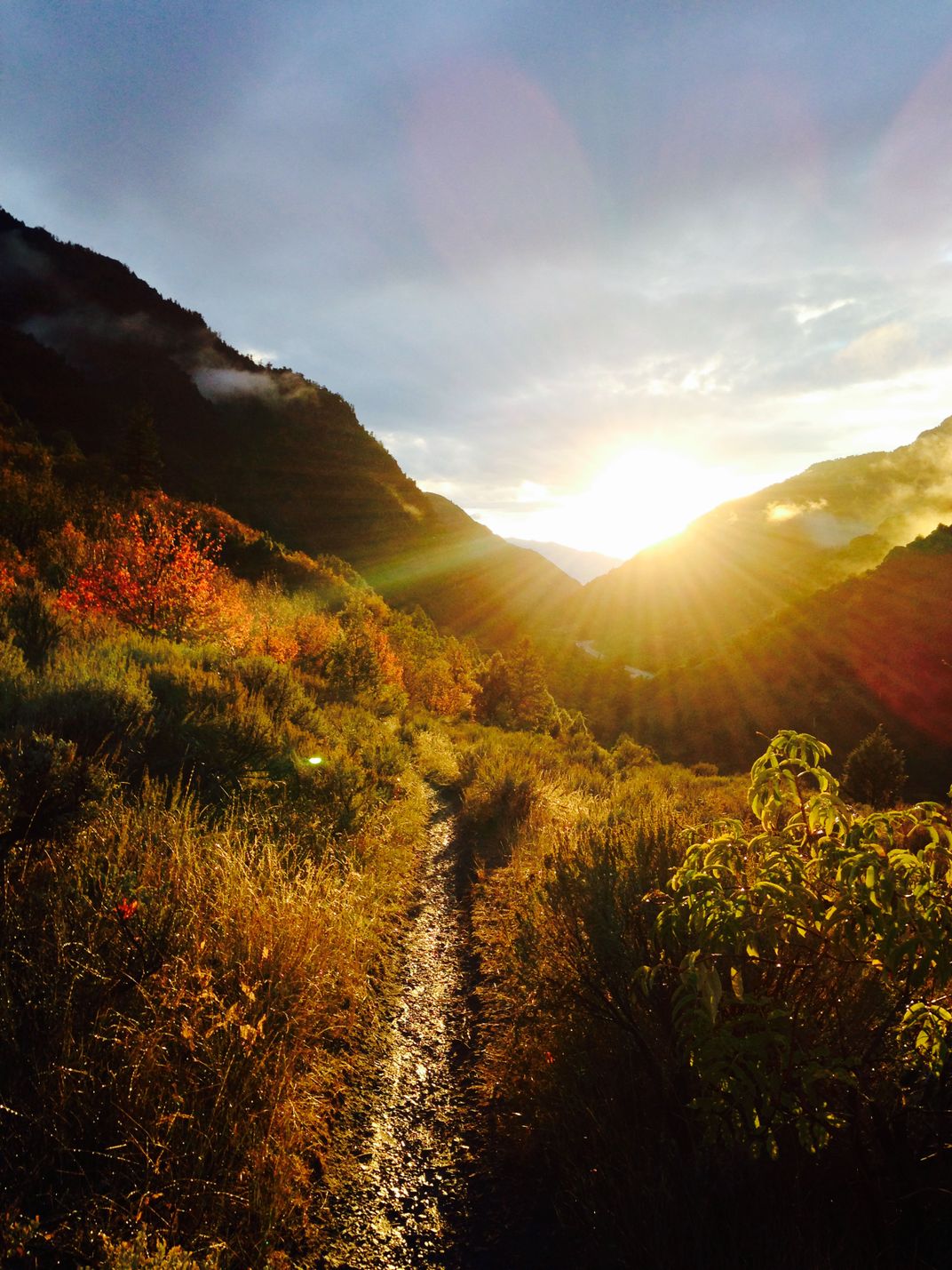 Sunset while hiking in the Utah cache national Forrest taken with ...