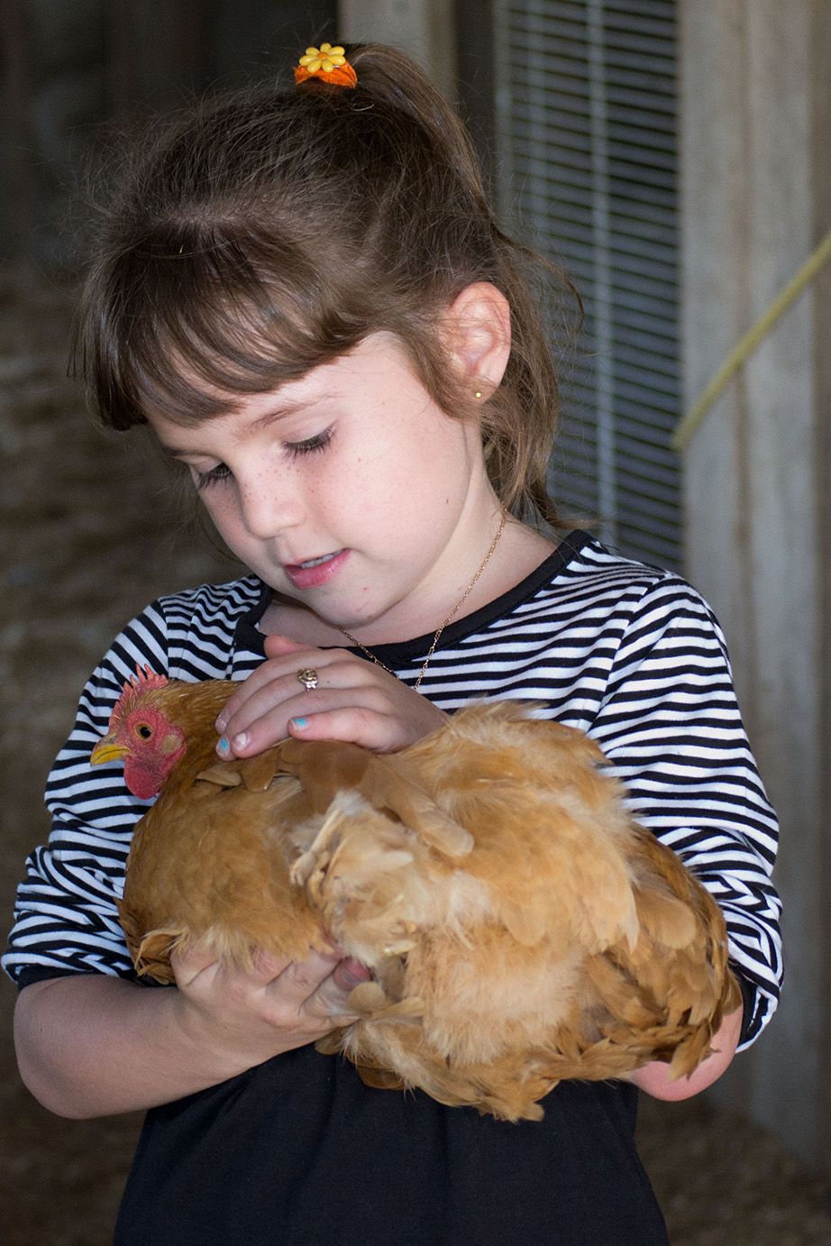 My daughter intensely petting a chicken | Smithsonian Photo Contest ...