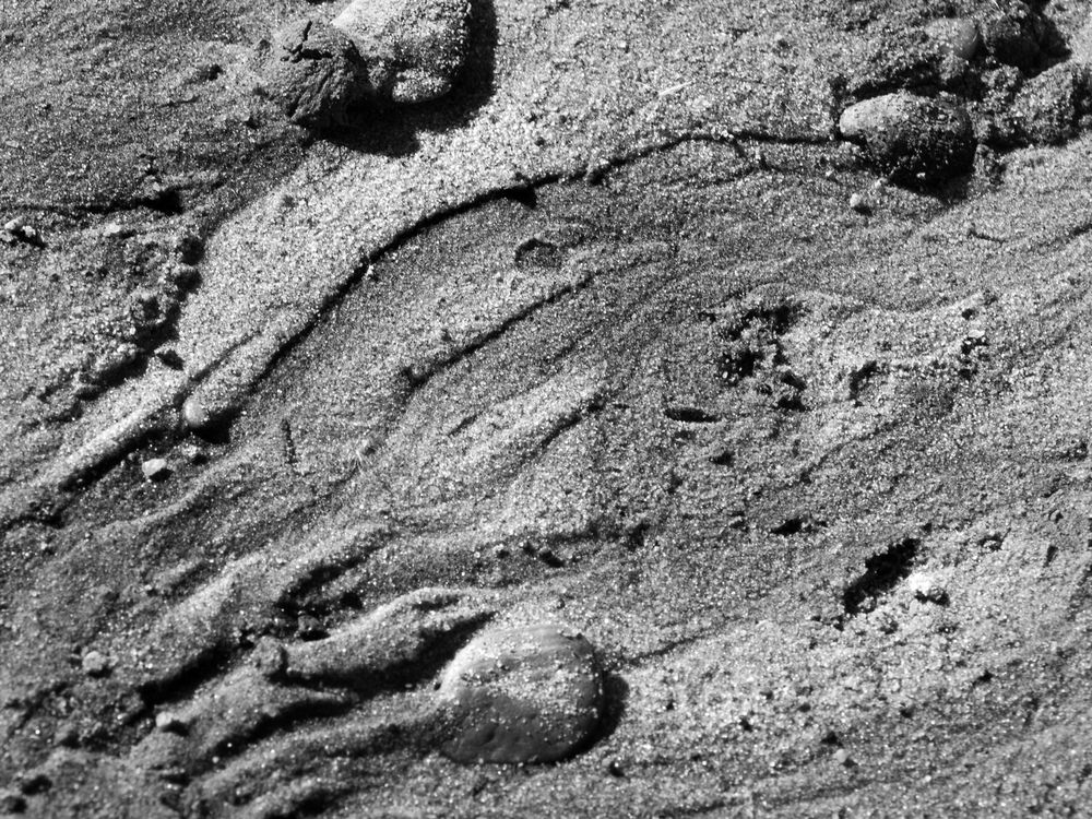 Sand Delta | Smithsonian Photo Contest | Smithsonian Magazine