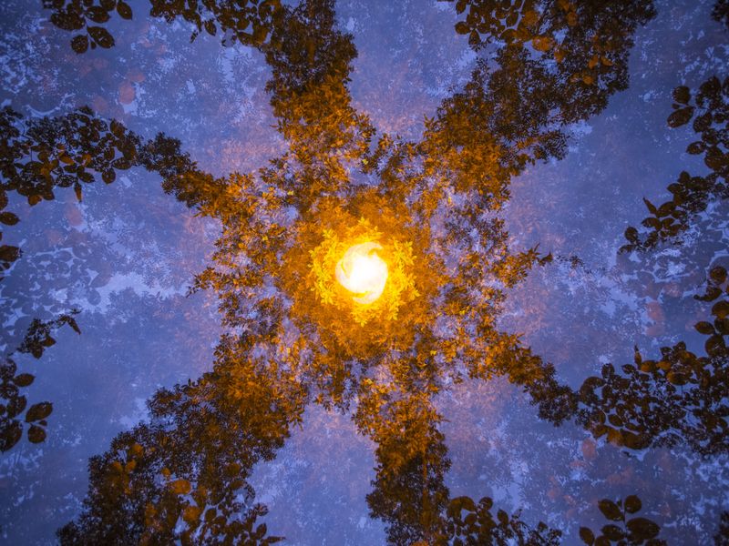 Psychedelic nature | Smithsonian Photo Contest | Smithsonian Magazine