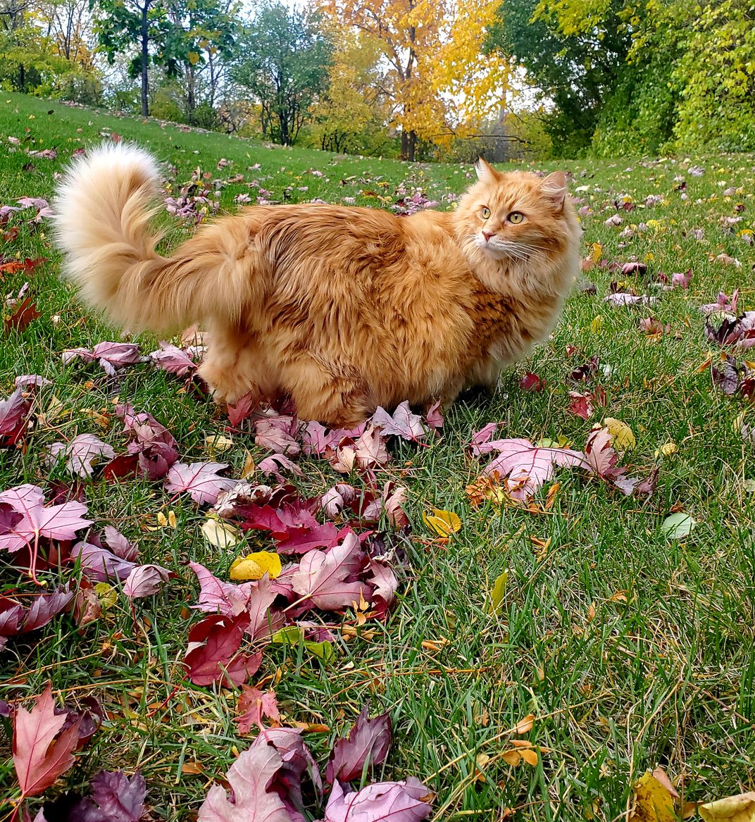 Fall 2022 | Smithsonian Photo Contest | Smithsonian Magazine