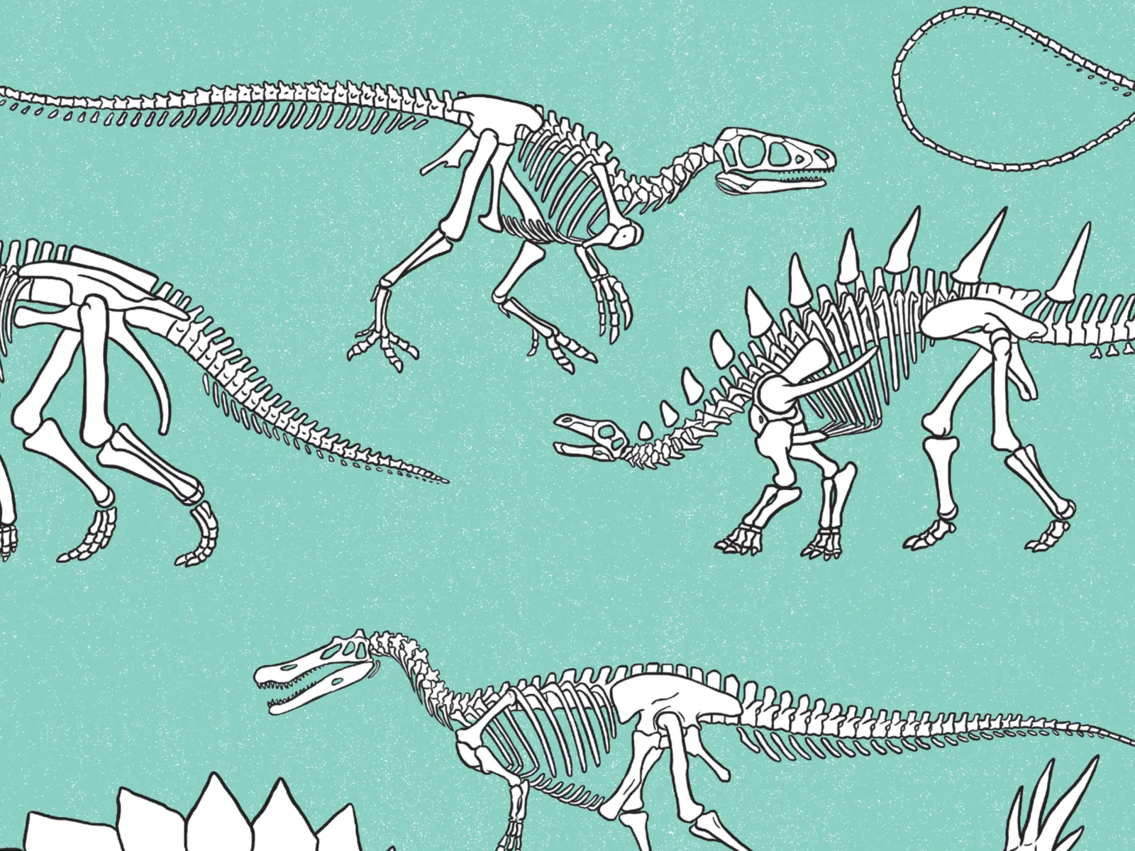 Five Incredible Dinosaurs You've Probably Never Heard About ...