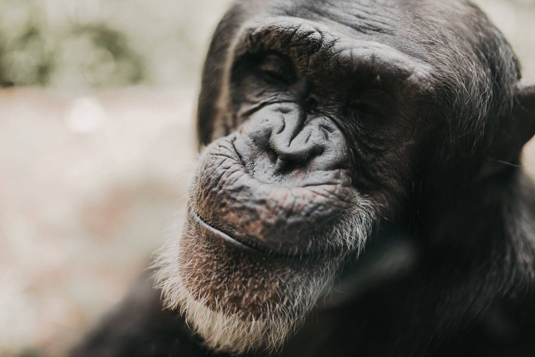 smile | Smithsonian Photo Contest | Smithsonian Magazine