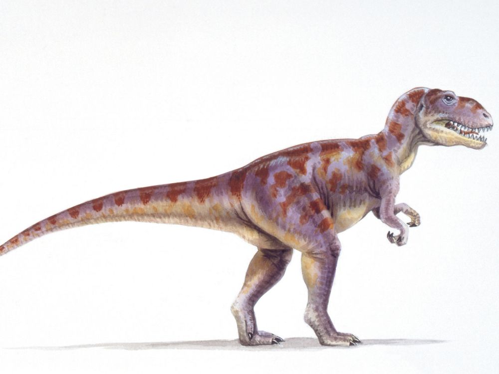 Paleontologists Are Still Unraveling the Mystery of the First Dinosaur