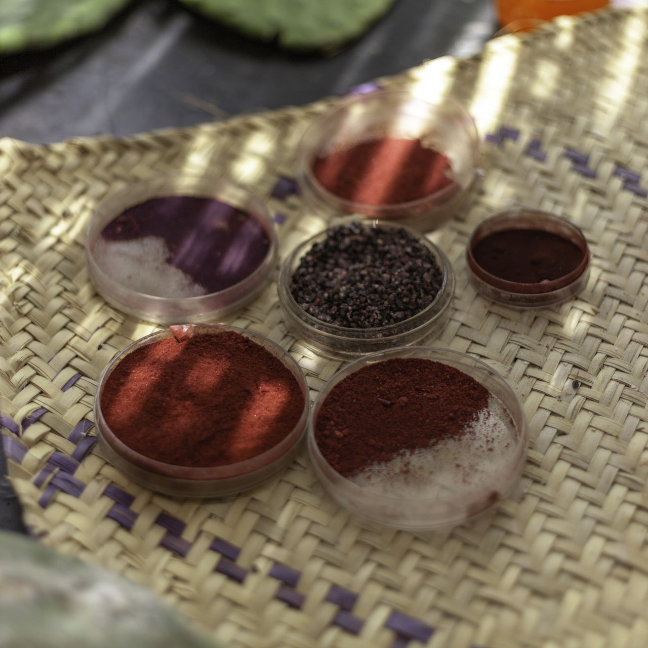 what is carmine coloring