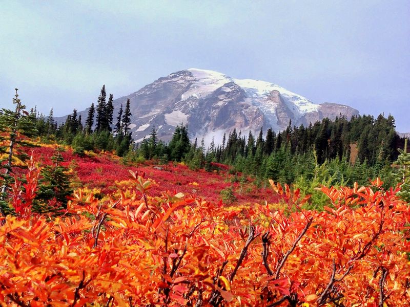 Fall colors on Mt. Rainier | Smithsonian Photo Contest | Smithsonian ...