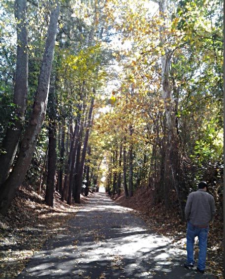 Walking on a path through the woods on a beautiful fall day with my ...