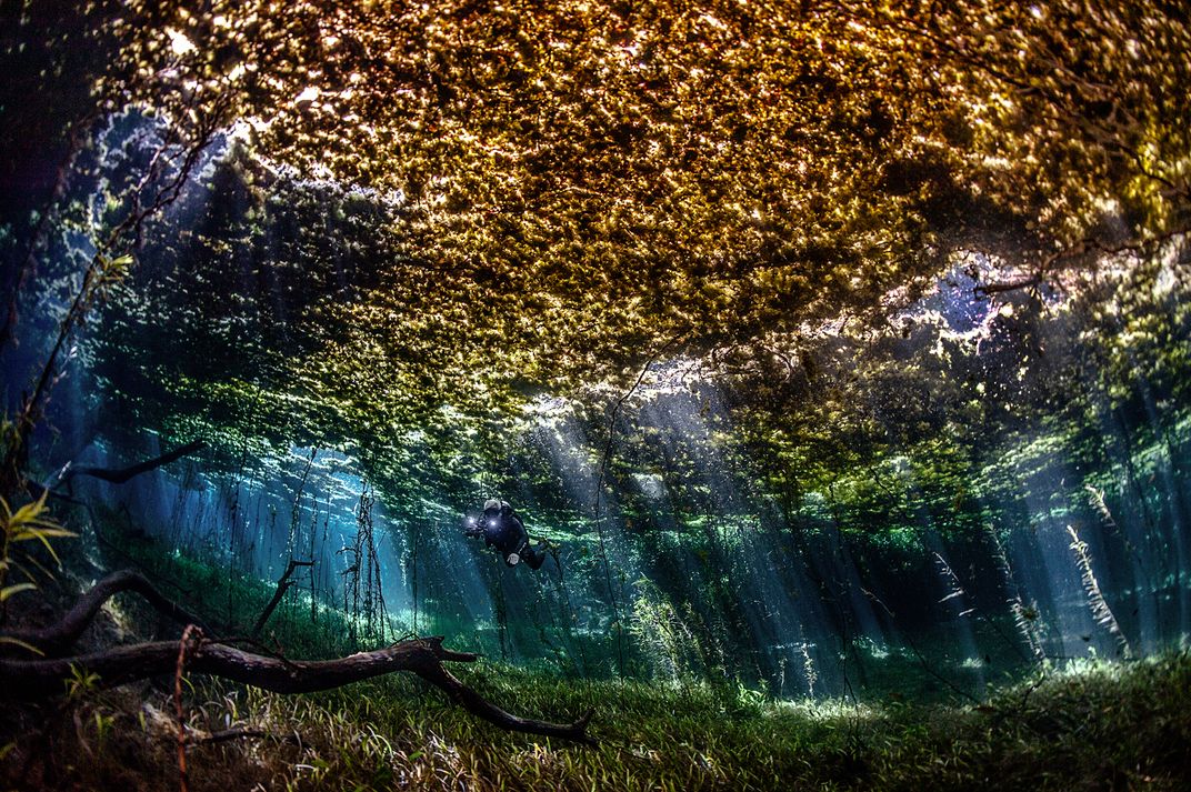 Pandora | Smithsonian Photo Contest | Smithsonian Magazine