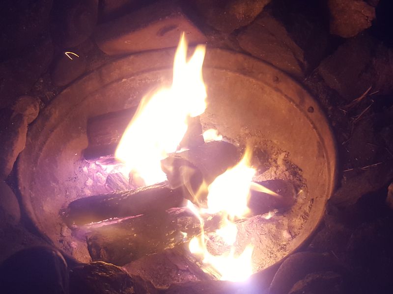 Rabbit hunched over looking at an Indian Head. | Smithsonian Photo ...